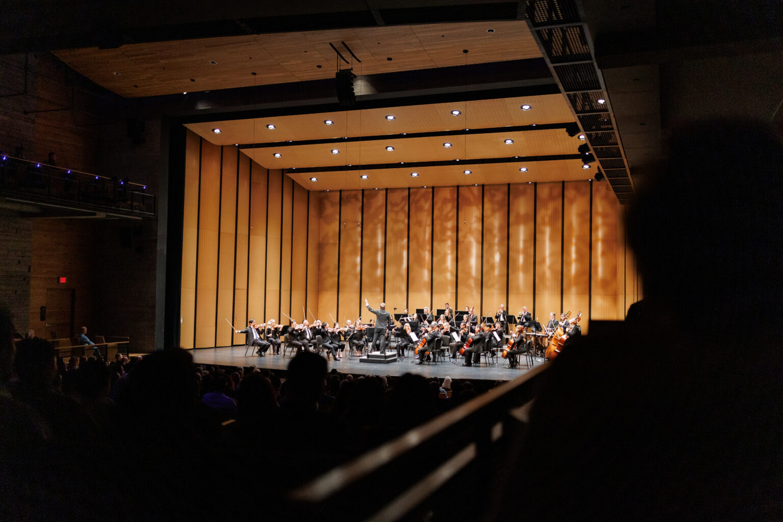About - Dallas Chamber Symphony